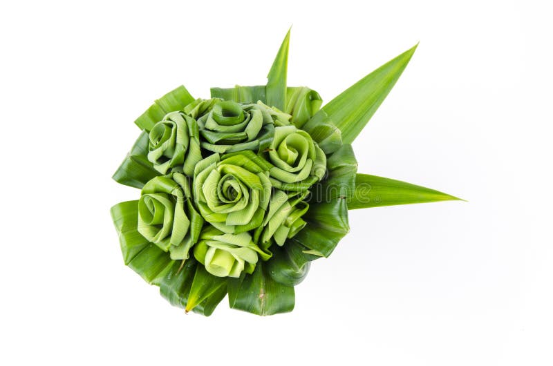 Pandan stock photo. Image of green, herbal, phil, gore - 39770650