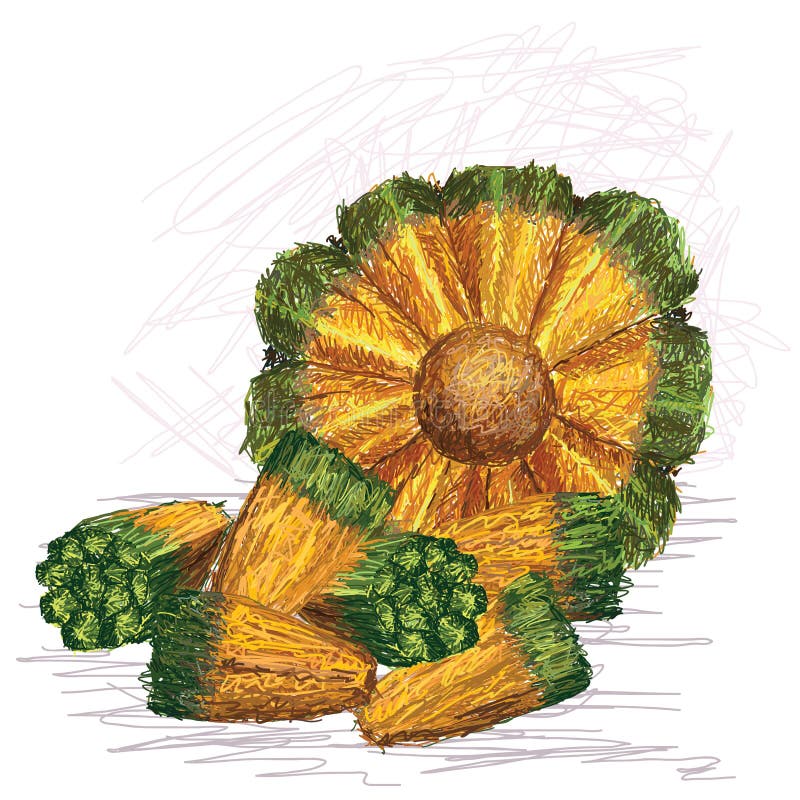 Pandanus Stock Illustrations – 455 Pandanus Stock Illustrations ...