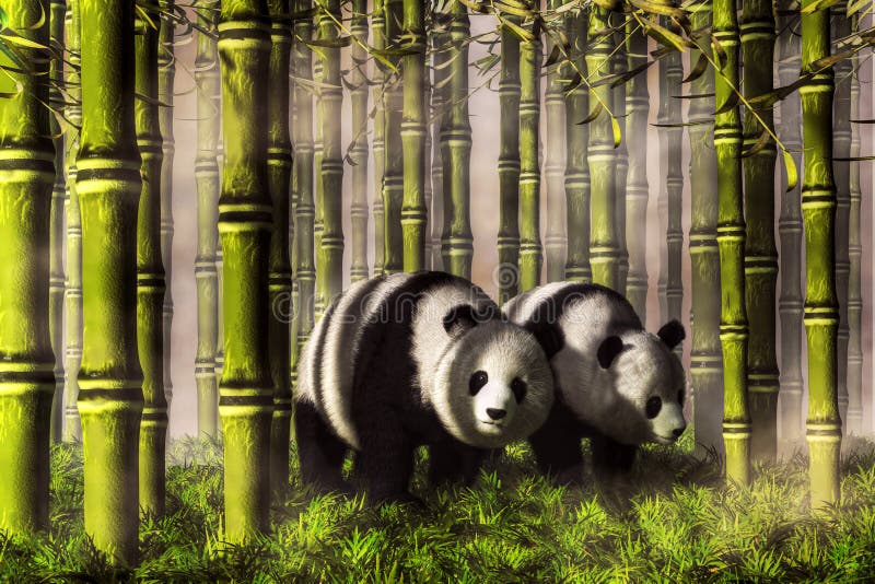 Panda- und Bambuswald vektor abbildung. Illustration von bambuswald ...