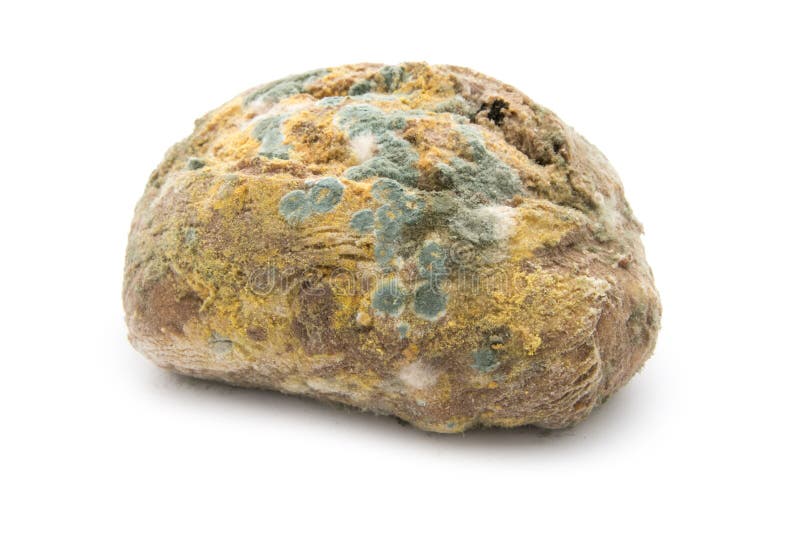 Pane ammuffito fotografia stock. Immagine di vecchio - 32713514