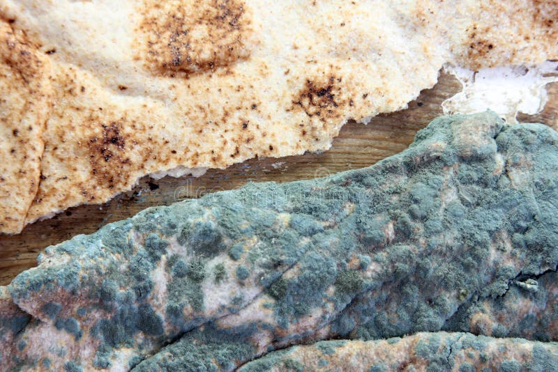 Pane Ammuffito Con Pane Sano Fresco Fotografia Stock - Immagine di ...