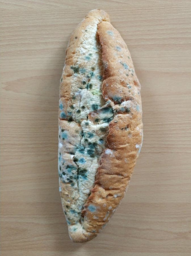 Pane Ammuffito Sulla Tavola Immagine Stock - Immagine di batterio ...