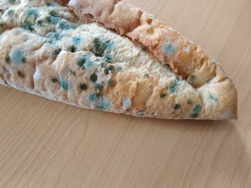 Pane Ammuffito Sulla Tavola Immagine Stock - Immagine di batterio ...