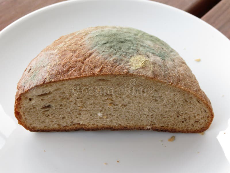 Pane con la muffa fotografia stock. Immagine di marrone - 46058966