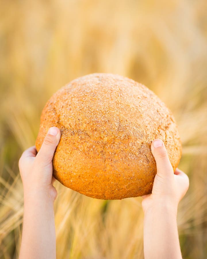 Pane in mani fotografia stock. Immagine di mani, consumo - 38811730