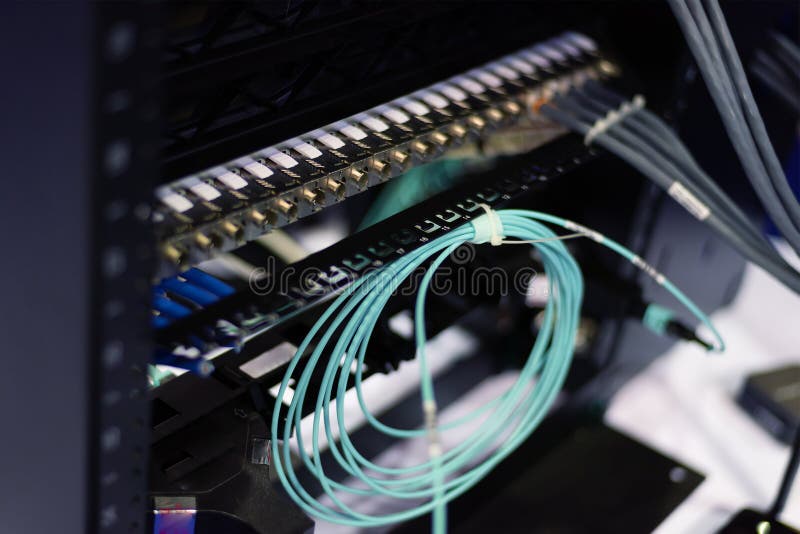 Panel De Red De Servidor Con Conectores Y Cables. Panel De Red De ...