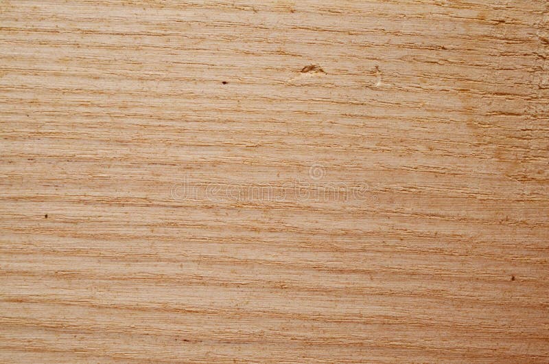 Panel Maple foto de archivo. Imagen de hardwood, surcos - 159795772
