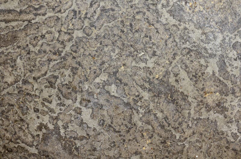 Panel Marble Natural Pattern for Architecture and Interior Design or ...