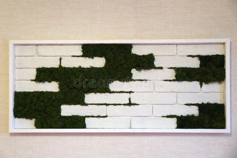 Panel of Stabilized Moss between White Bricks on the Wall Stock Image ...