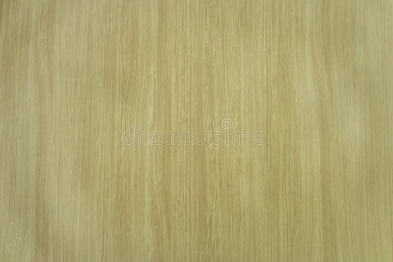 Panel with Texture Light Oak. Stock Image - Image of flooring, backdrop ...