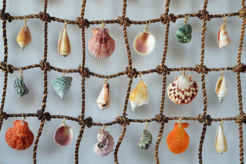 Panels made of shells stock photo. Image of hemp, sites - 31218018