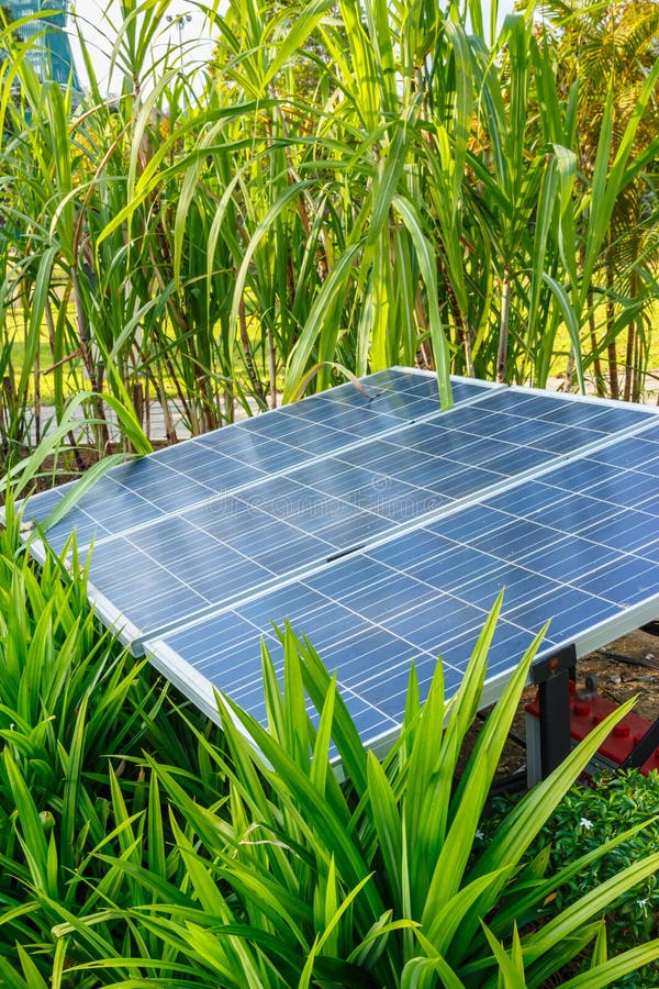 The Panels of Solar Cell in a Garden. Stock Image - Image of ...