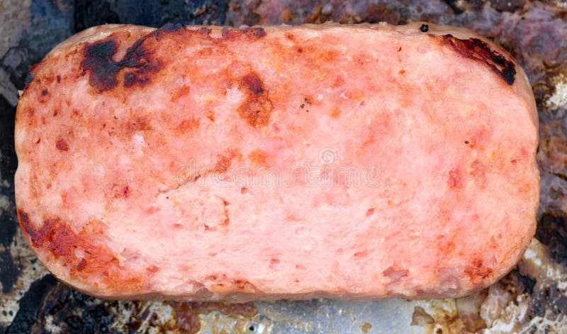 Mystery meat close-up shot stock image. Image of meal - 5083567