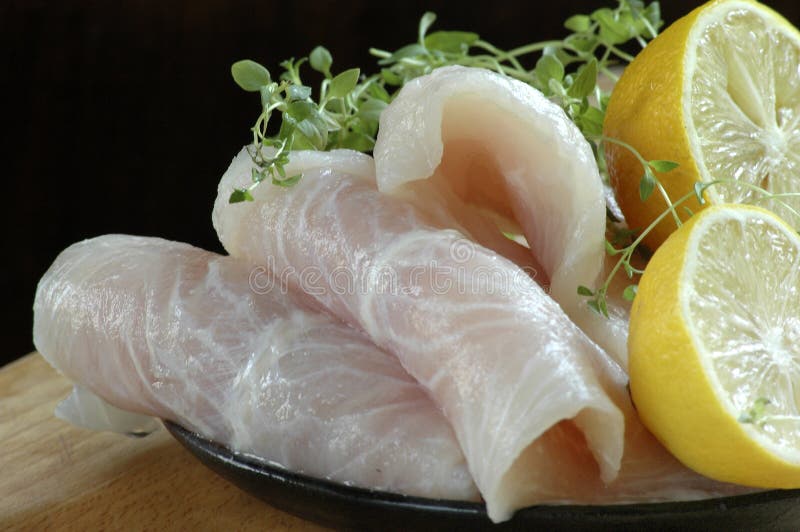 Panga Fish, Pterogymnus Laniarius Stock Image - Image of swimming ...