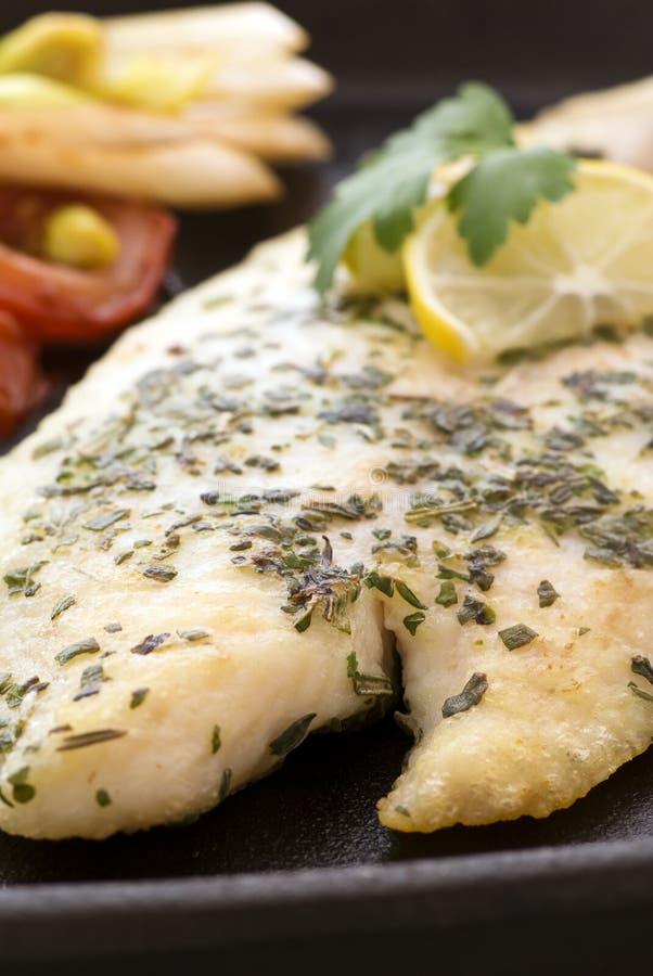 Pangasius Filet stock photo. Image of fillet, food, greenfish - 16760470