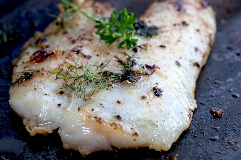 Pangasius Fillet stock image. Image of gourmet, halibut - 53492243