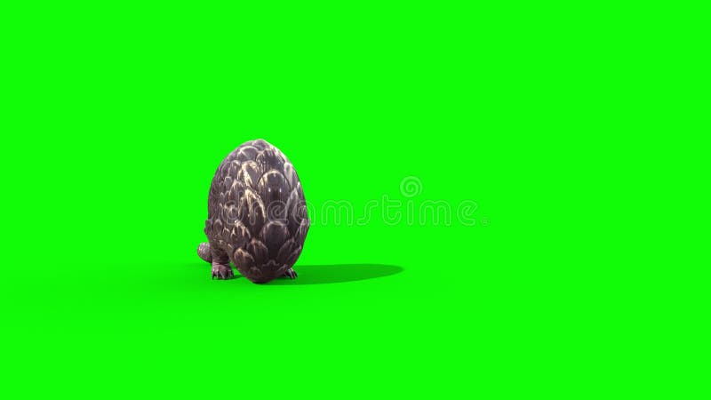 Pangolin Attacks Green Screen Front 3D Rendering Animation 4K Stock ... Pangolin Attacks Green Screen Front 3D Rendering Animation 4K Stock ...