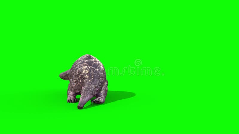 Pangolin Attacks Green Screen Front Loop 3D Rendering Animation 4K ... Pangolin Attacks Green Screen Front Loop 3D Rendering Animation 4K ...