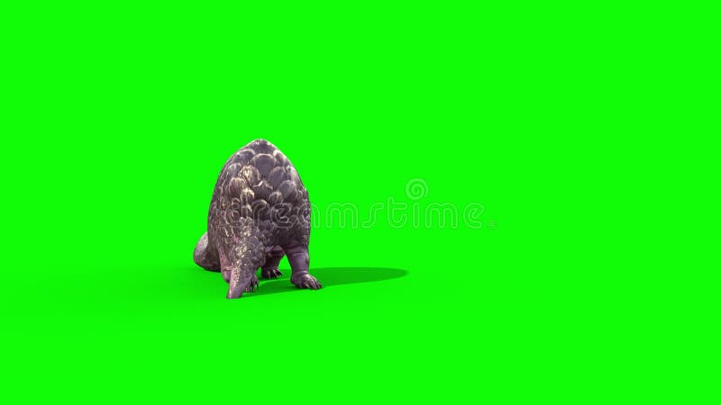 Pangolin Die Green Screen Front 3D Rendering Animation 4K Stock Video ... Pangolin Die Green Screen Front 3D Rendering Animation 4K Stock Video ...