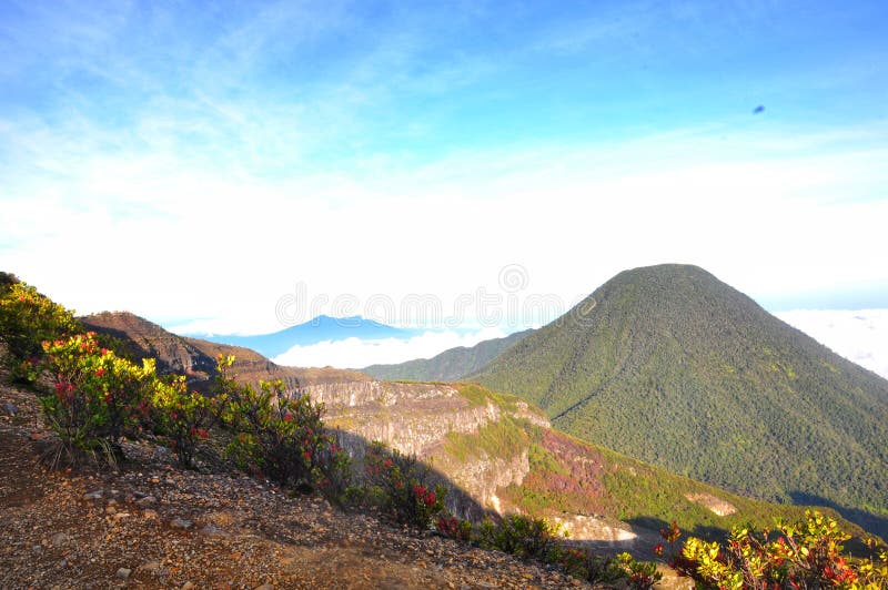 Pangrango Mountain stock image. Image of cianjur, asian - 266788077