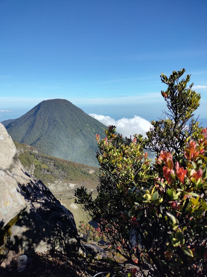 Pangrango Mountain stock photo. Image of java, mount - 280951252