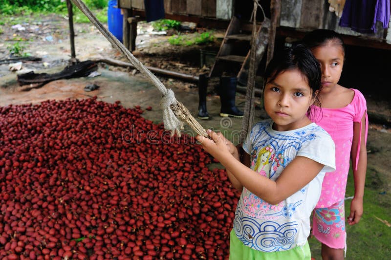 Panguana - il Perù fotografia editoriale. Immagine di capanna - 41392381