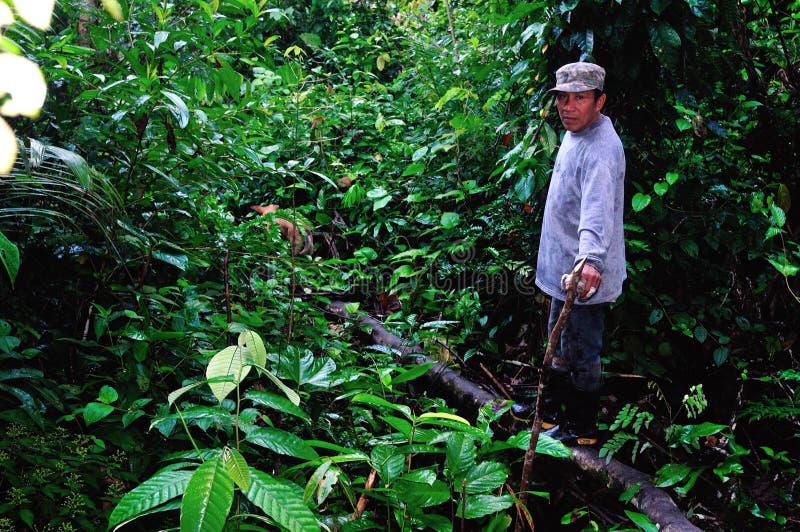 Panguana - Peru redaktionell bild. Bild av hatt, kultur - 41392851
