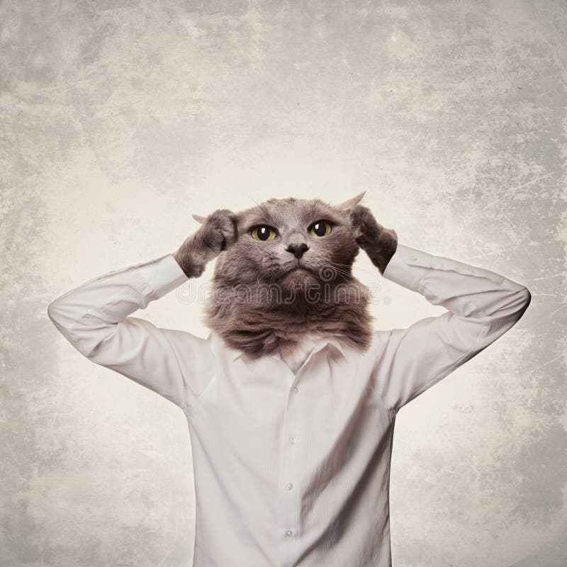 Panicking Businessman Cat Collage Stock Photos - Free & Royalty-Free ...