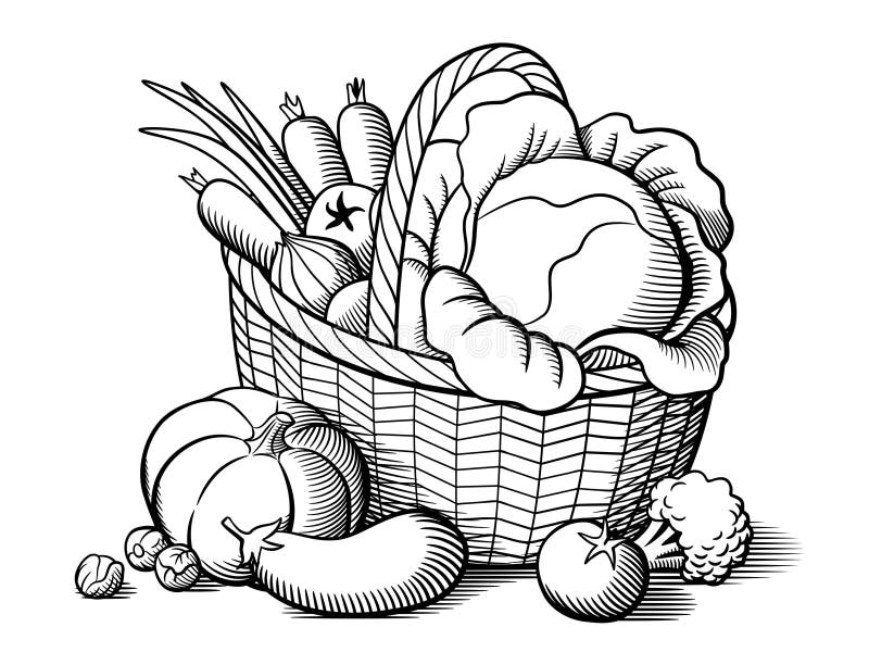 Panier avec des légumes illustration de vecteur. Illustration du ligne ...