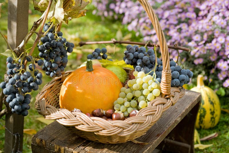Panier Des Fruits D'automne Photo stock - Image du disposé, assortiment ...