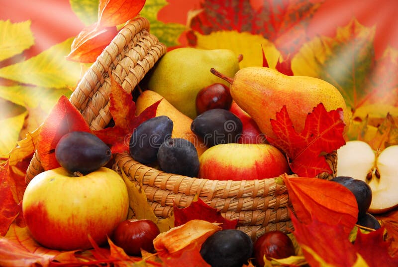 Panier Des Fruits D'automne Photo stock - Image du disposé, assortiment ...