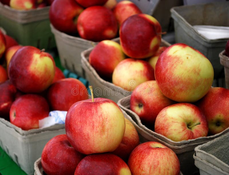 Différentes Sortes De Pommes Dans Un Panier Image stock - Image du ...
