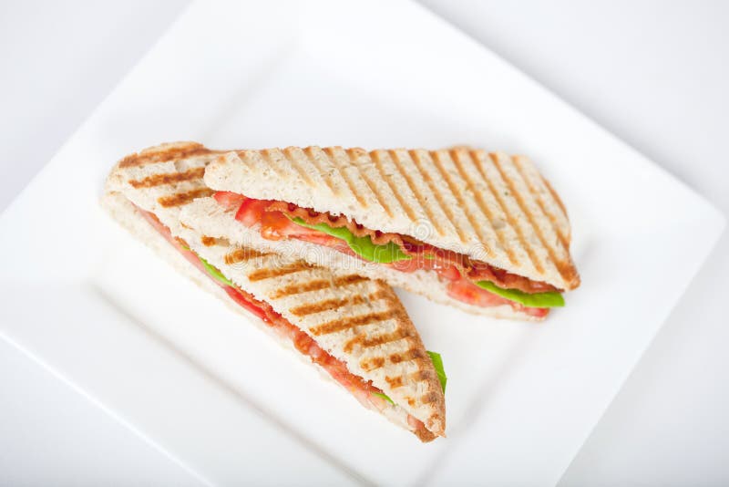 Panini stock image. Image of plate, lettuce, pannini - 31539723