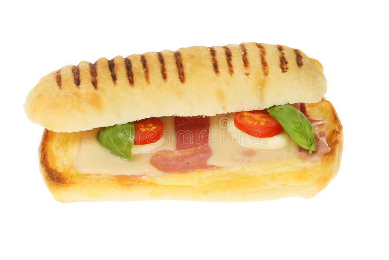 Panini sandwich isolated stock image. Image of toasted - 149100769