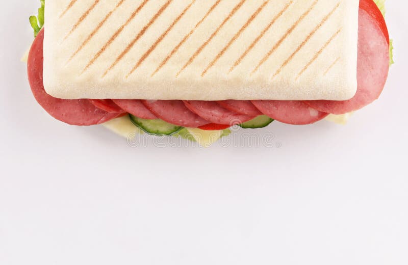 Panini Sandwich Roast Turkey on White Background Stock Image - Image of ...