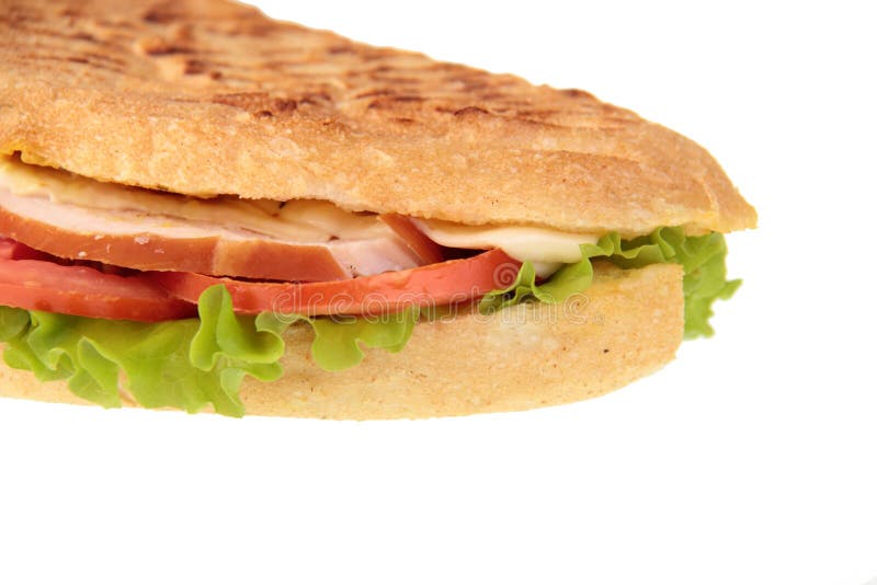 Panini stock image. Image of long, healthy, picnic, closeup - 44220997