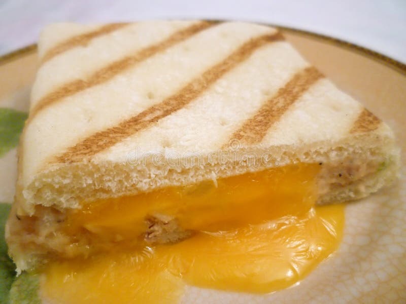 Panini Tuna Melt Sandwich stock image. Image of panini - 10697361