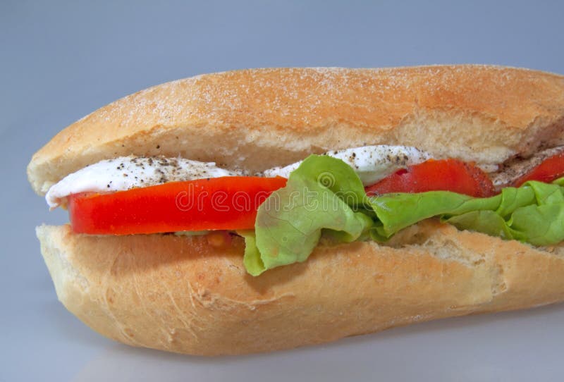 Panino italiano fotografia stock. Immagine di pomodoro - 11457392
