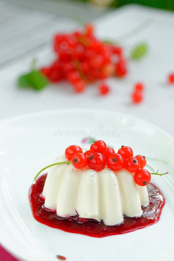 Panna cotta dessert stock image. Image of currants, italy - 33186327