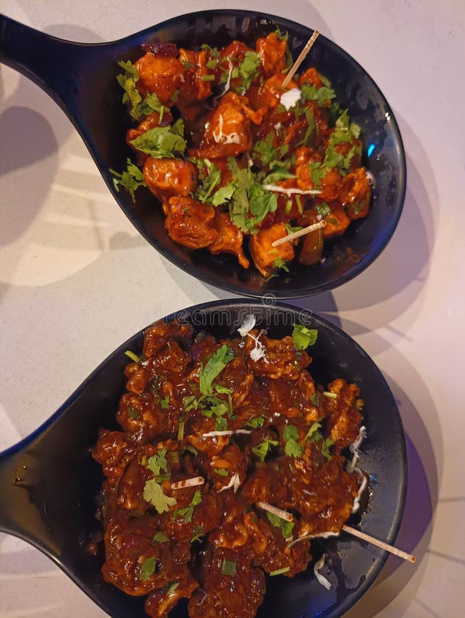 Panneer Manchurian stock photo. Image of panneer, manchurian - 338515812