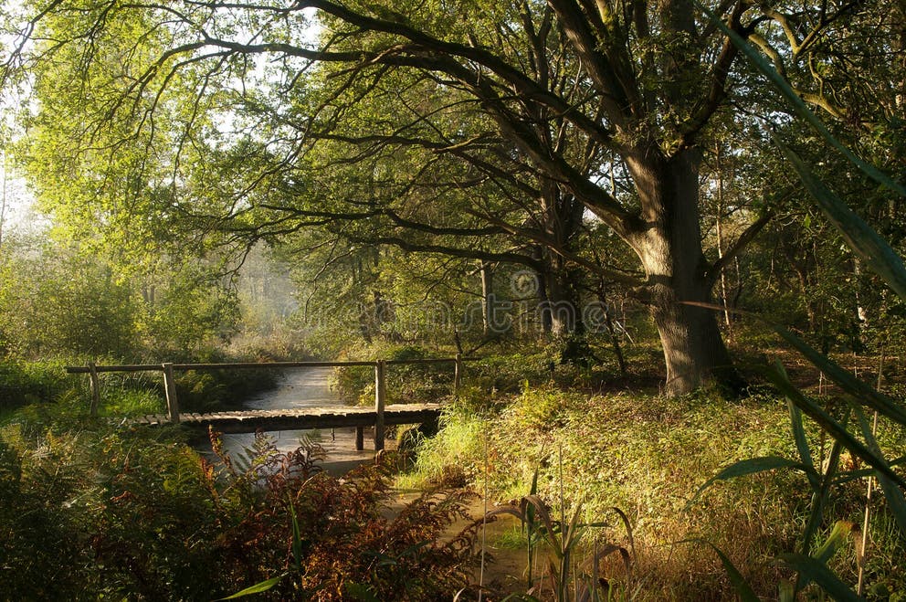 Pannehoef stock image. Image of autumn, woodenbridge - 27977553
