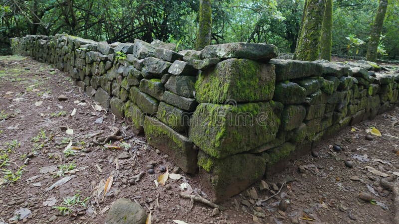 Panning Cross Ruins in a South Pacific Rainforest Stock Video - Video ...