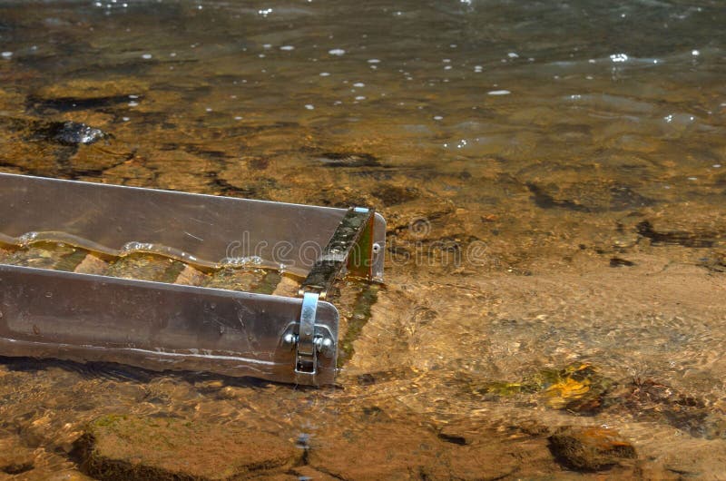 Panning for Gold with a Sluice Box Stock Photo - Image of stream ...