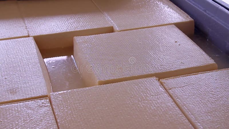 Cheese Making Process, Cheese in Liquid Suction Chambers Stock Footage ...