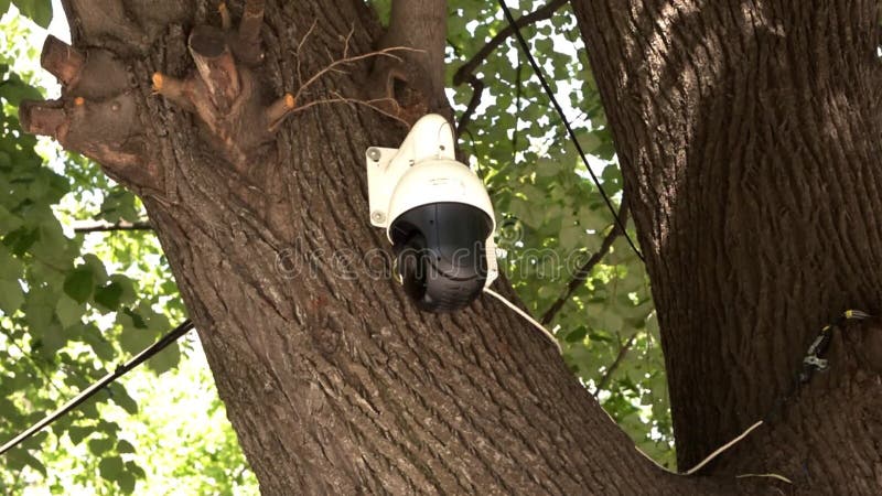 Panning Security CCTV Surveillance Camera Mounted on a Tree Stock Video ...