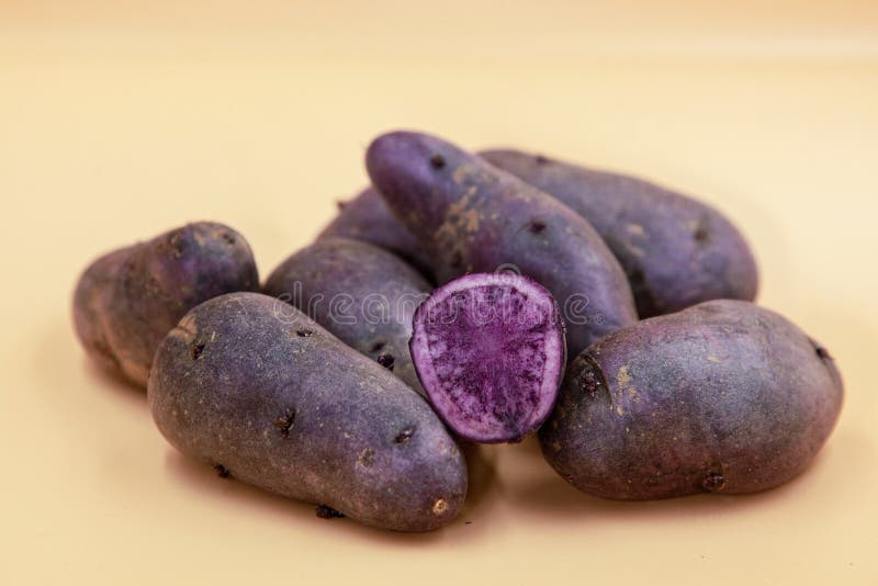 Pano De Fundo Bege De Batata Violeta Foto de Stock - Imagem de roxo ...