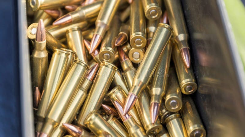 Pano Loads of Long Sharp Bullets Inside Its Case with a Blue Cloth on ...