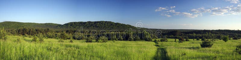 Panoramic rolling field stock image. Image of scenery - 30931451