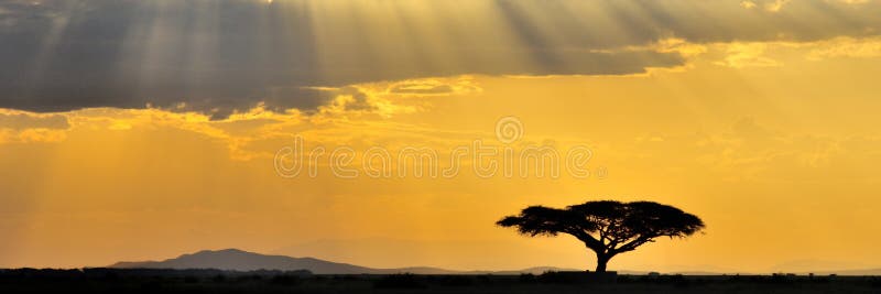 Panorama african sunset stock photo. Image of backlit - 25248156