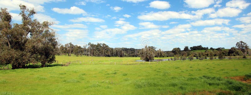 Panorama of Australian Rural Scene Stock Image - Image of green, dotted ...